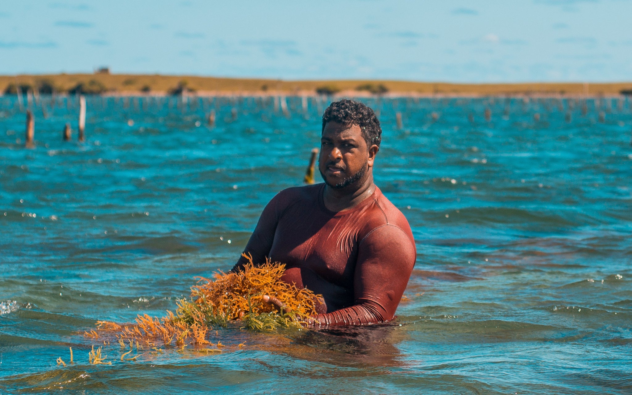 The Scientific Benefits of Sea Moss: A Deep Dive into Nature's Superfo ...